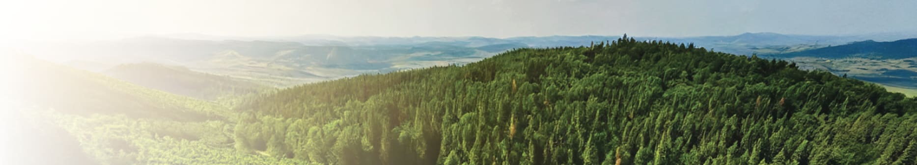 Sustainability Commitments - Billi New Zealand